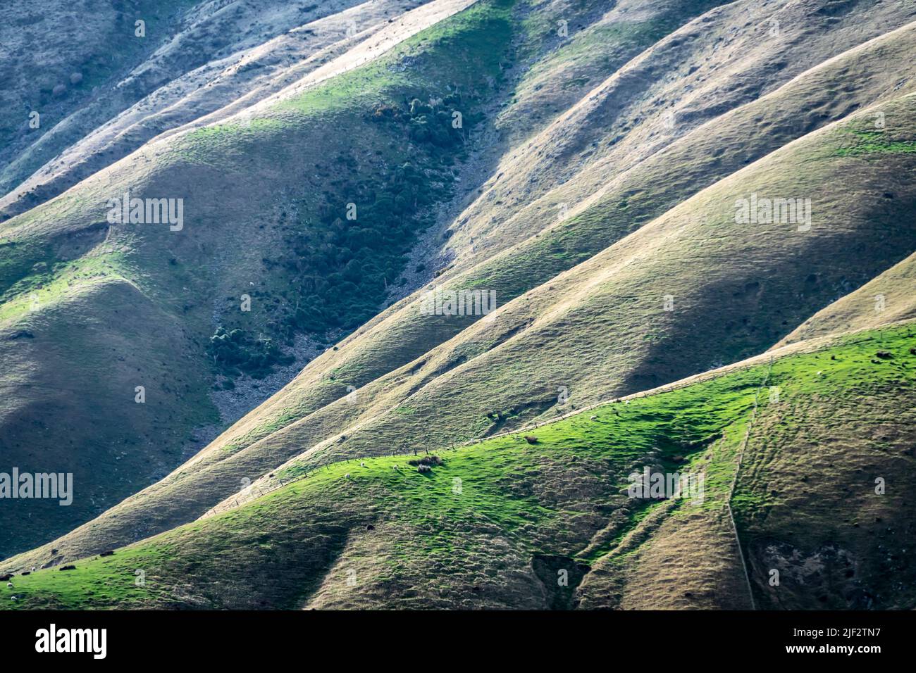 Hilly farmland, Arapawa Island, Tory Channel, Marlborough Sounds, South ...