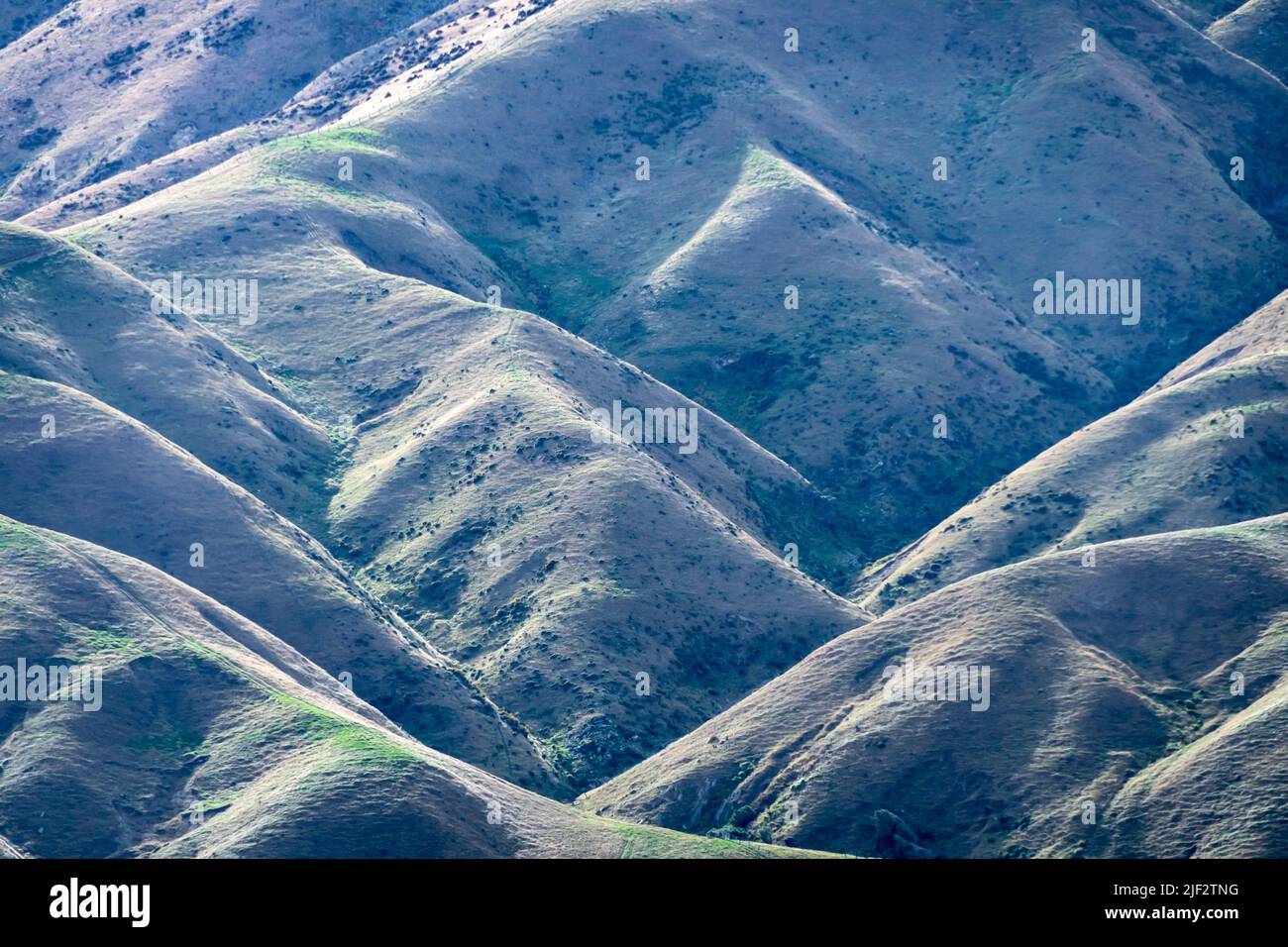Hilly farmland, Arapawa Island, Tory Channel, Marlborough Sounds, South ...