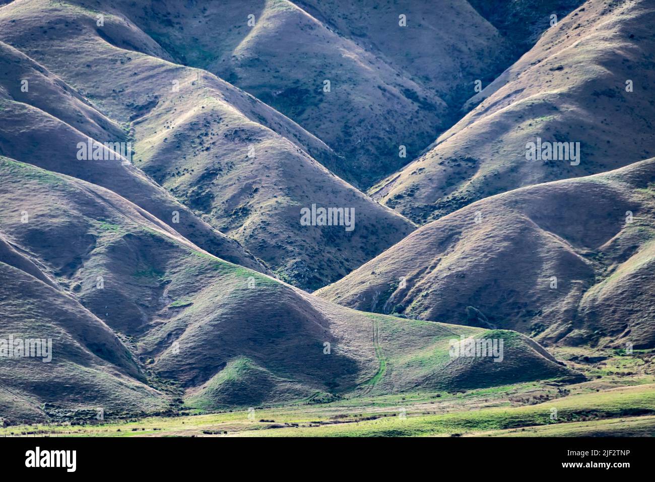 Hilly farmland, Arapawa Island, Tory Channel, Marlborough Sounds, South ...