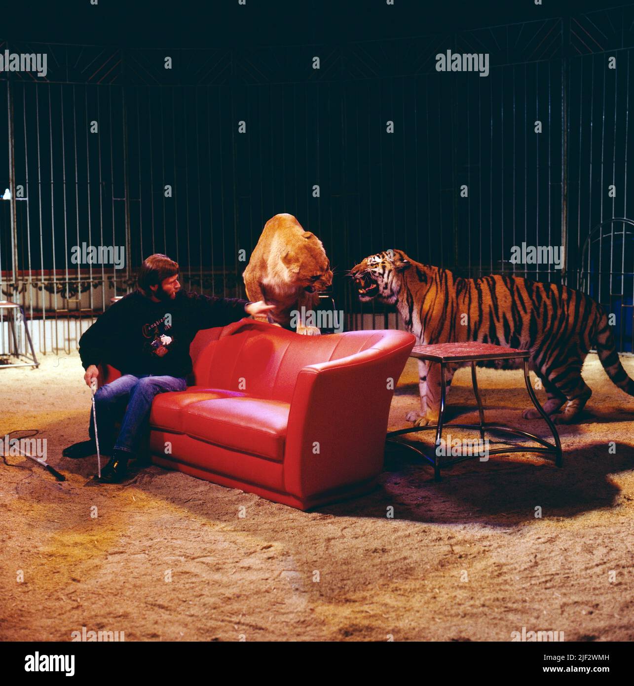 Die Rote Couch, ZDF Unterhaltungsmagazin über Lebensarten und Gefühle ...