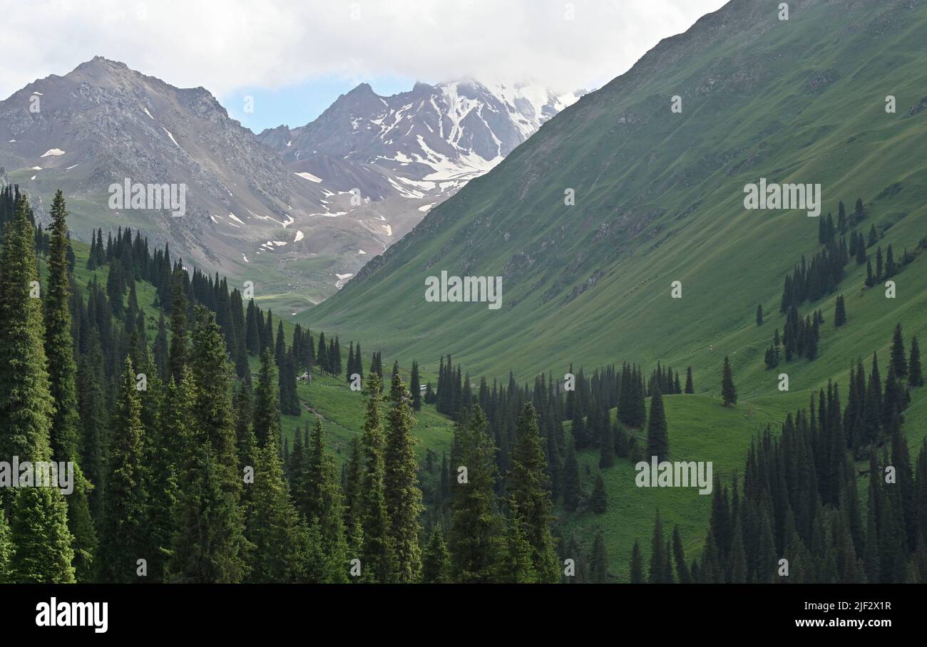 Yining. 28th June, 2022. Photo taken on June 28, 2022 shows a view of ...