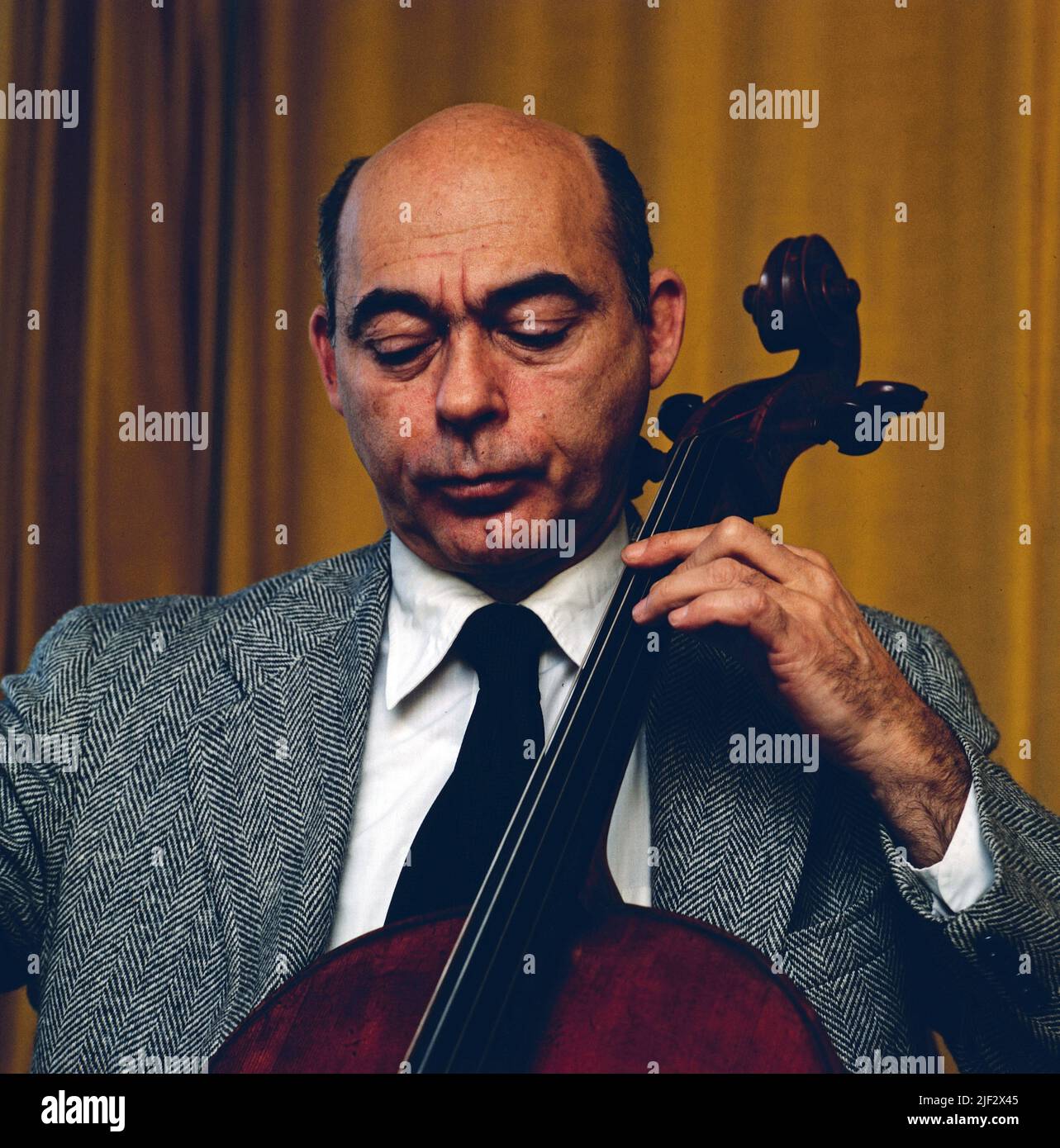 János Starker, amerikanischer Cellist ungarischer Herkunft, einer der ...