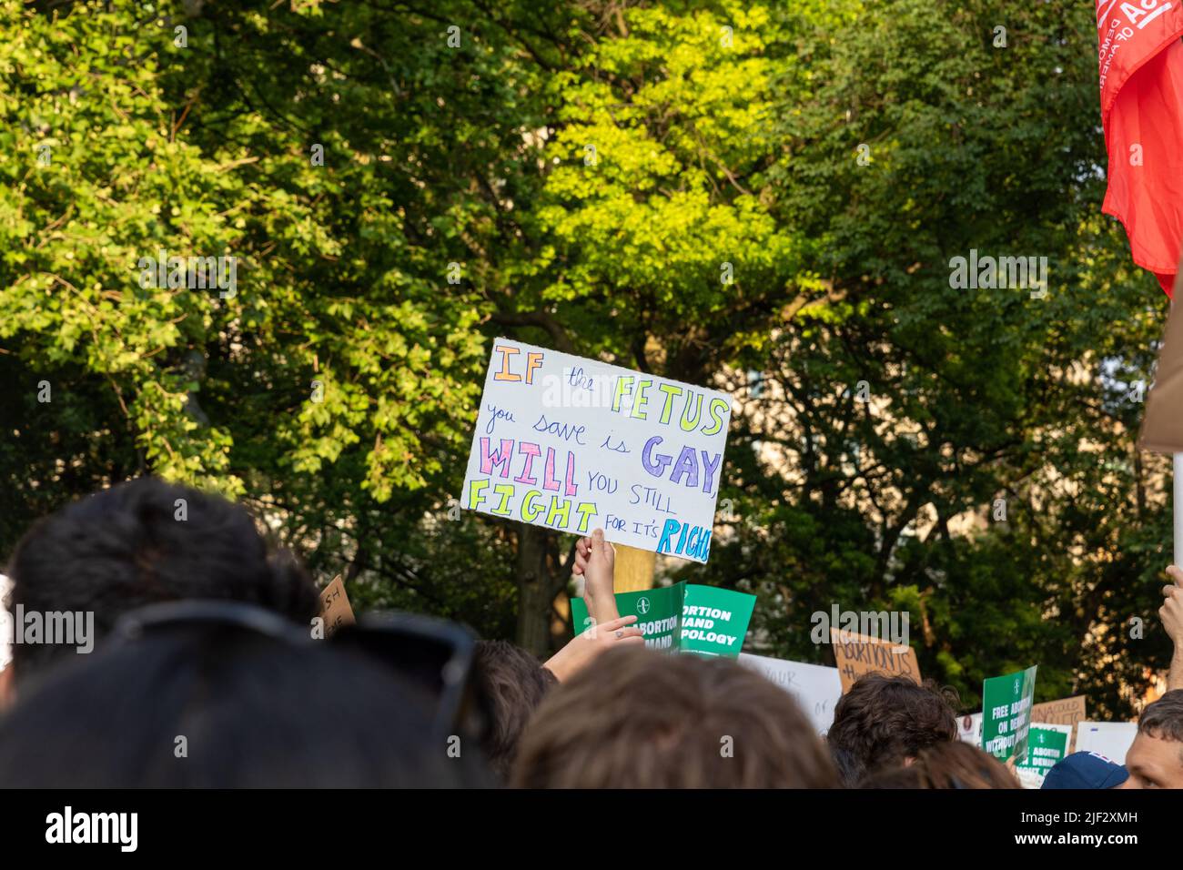 A crowd of protesters holding demonstration signs after Supreme Court ...