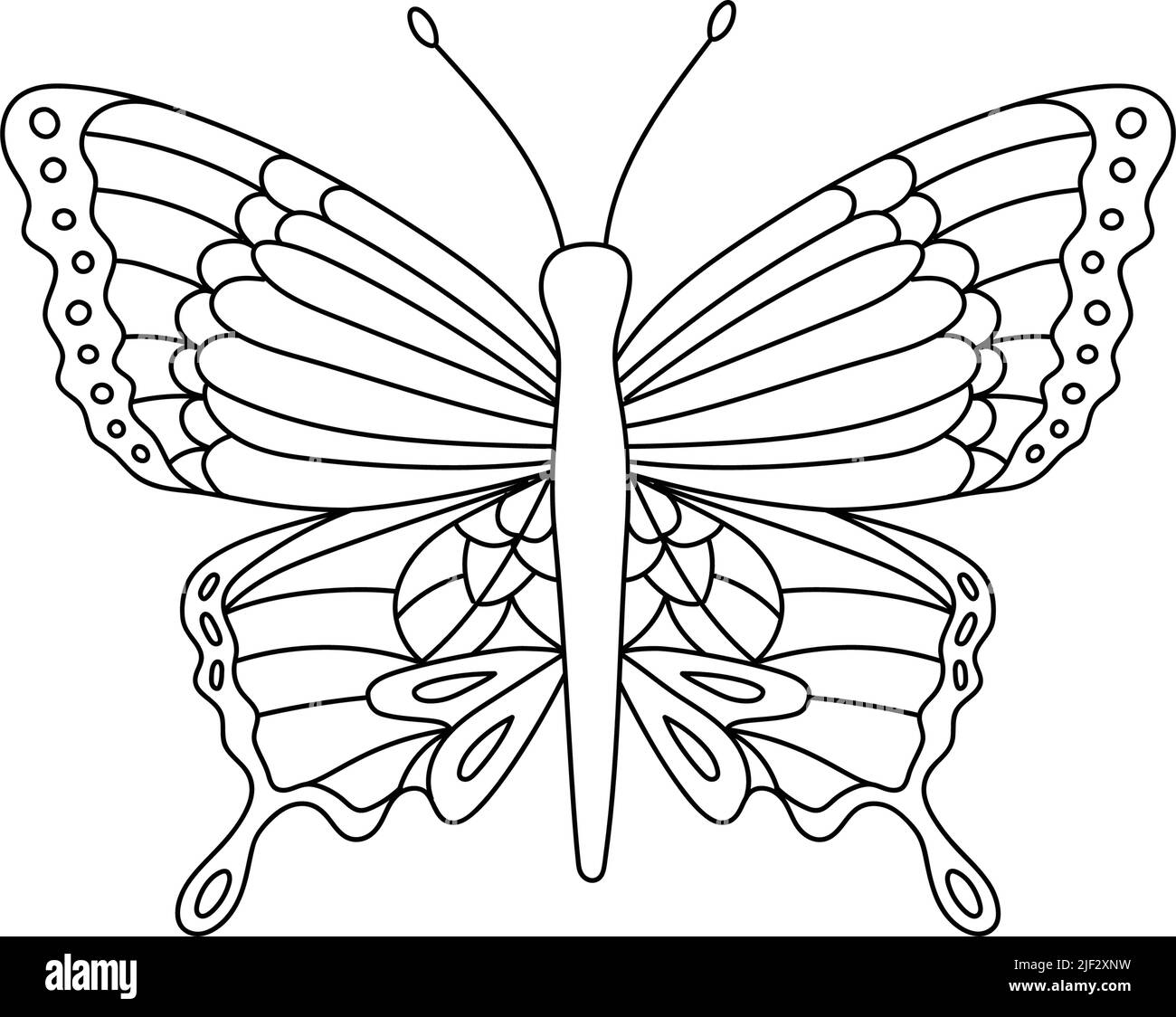Butterfly vector illustration black outline insect Stock Vector Image ...
