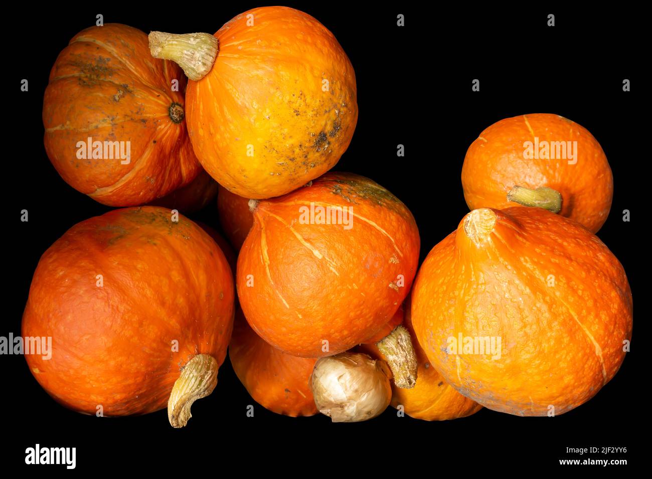 Group of pumpkins isolated on black background Stock Photo - Alamy