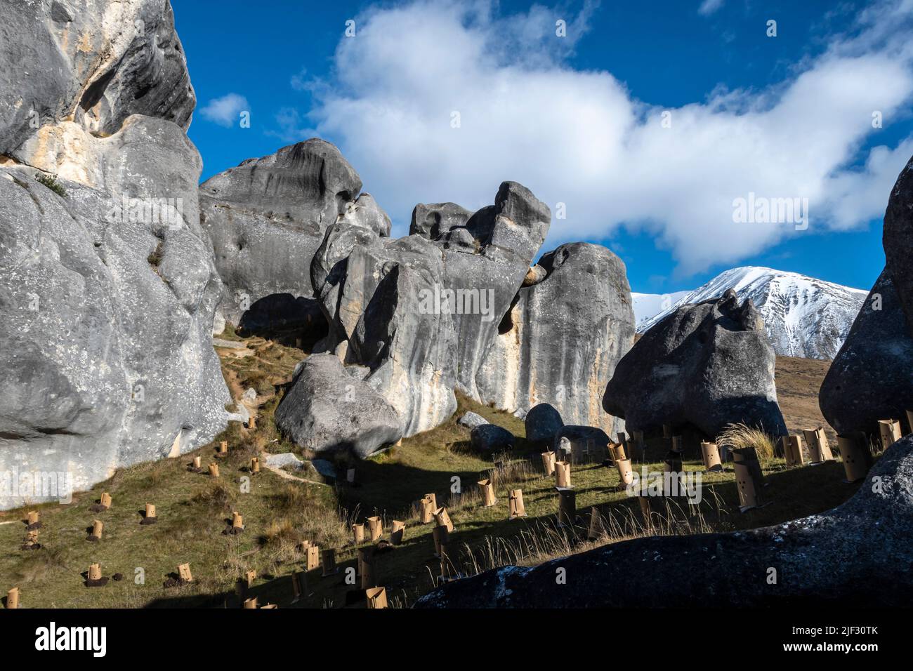 Limestone rock formations, Castle Hill, Canterbury, South Island, New ...