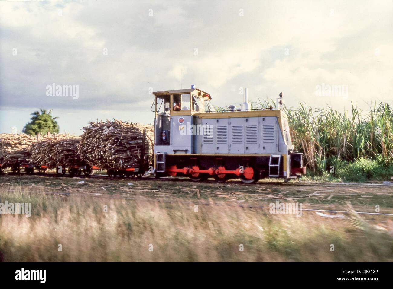 Fiji sugar cane industry history hi-res stock photography and images ...