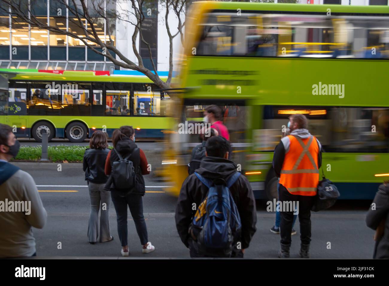 Commuters waiting at bus stop, Wellington, North Island, New Zealand ...