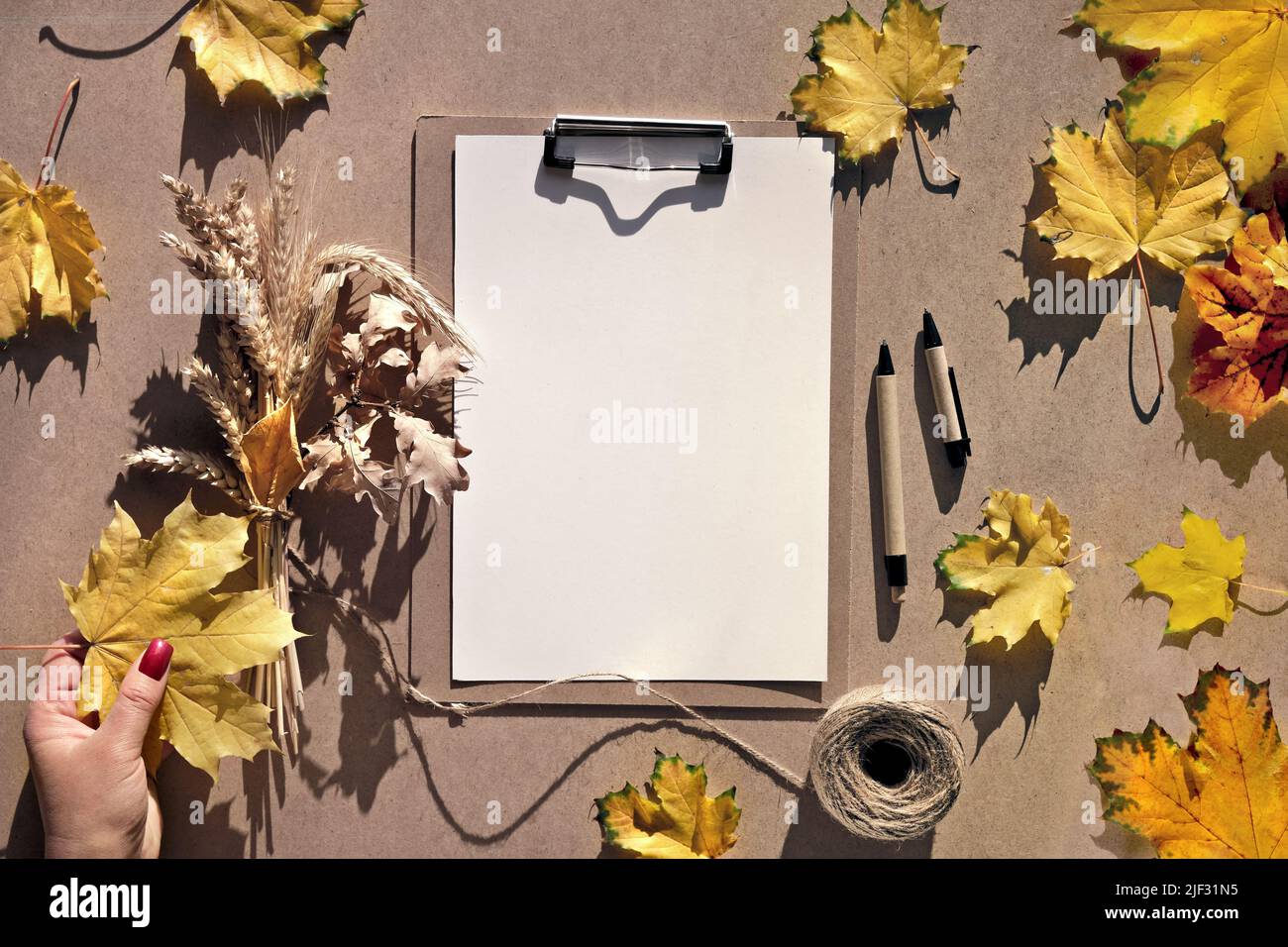 Autumn mockup, copy-space. Natural Fall leaves, wheat ears, small ...