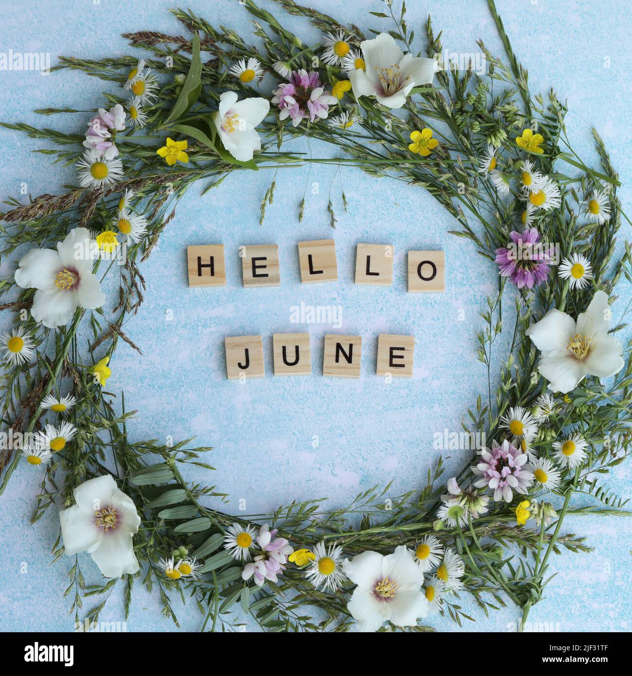 blue background with flowers frame and text. june Stock Photo - Alamy