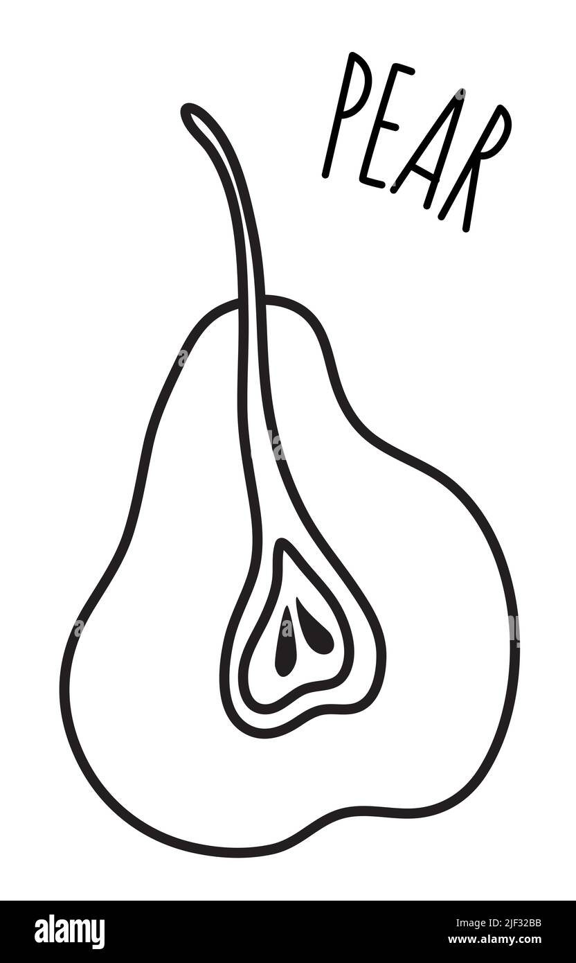 Pear hand drawn with thin line isolated on white background. Vector ...