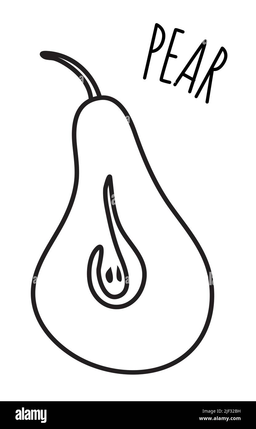 Pear hand drawn with thin line isolated on white background. Vector ...