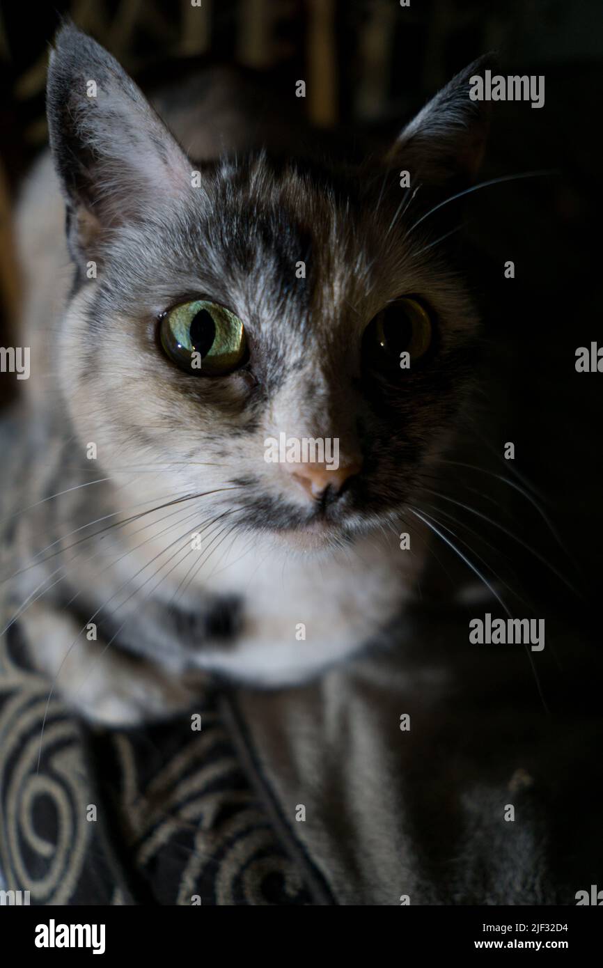 Sitting inside shelter hi-res stock photography and images - Alamy