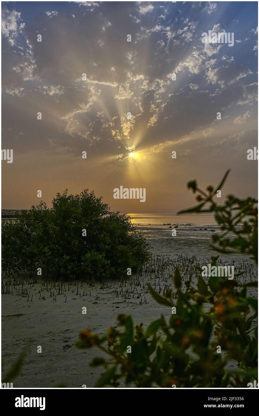 Best sunrise wallpaper hi-res stock photography and images - Alamy
