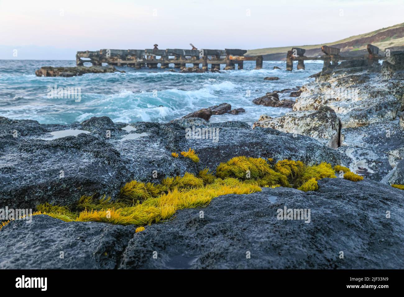 Moss grows on a rock along the shore with pier ruins behind at the Big ...