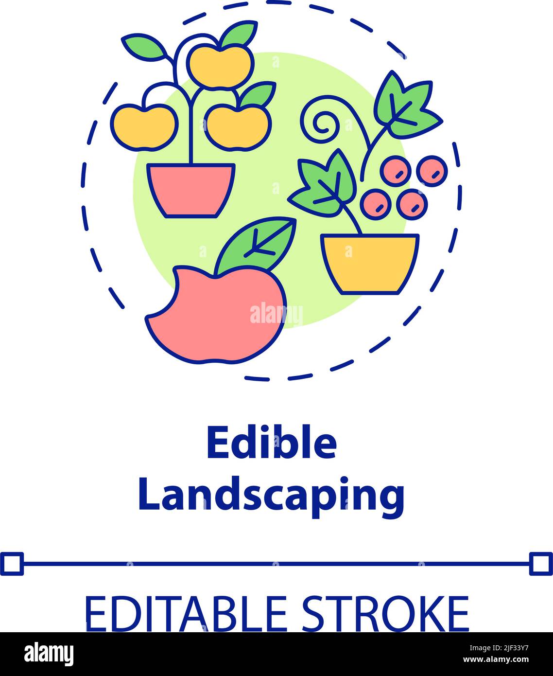 Edible landscaping concept icon Stock Vector Image & Art - Alamy