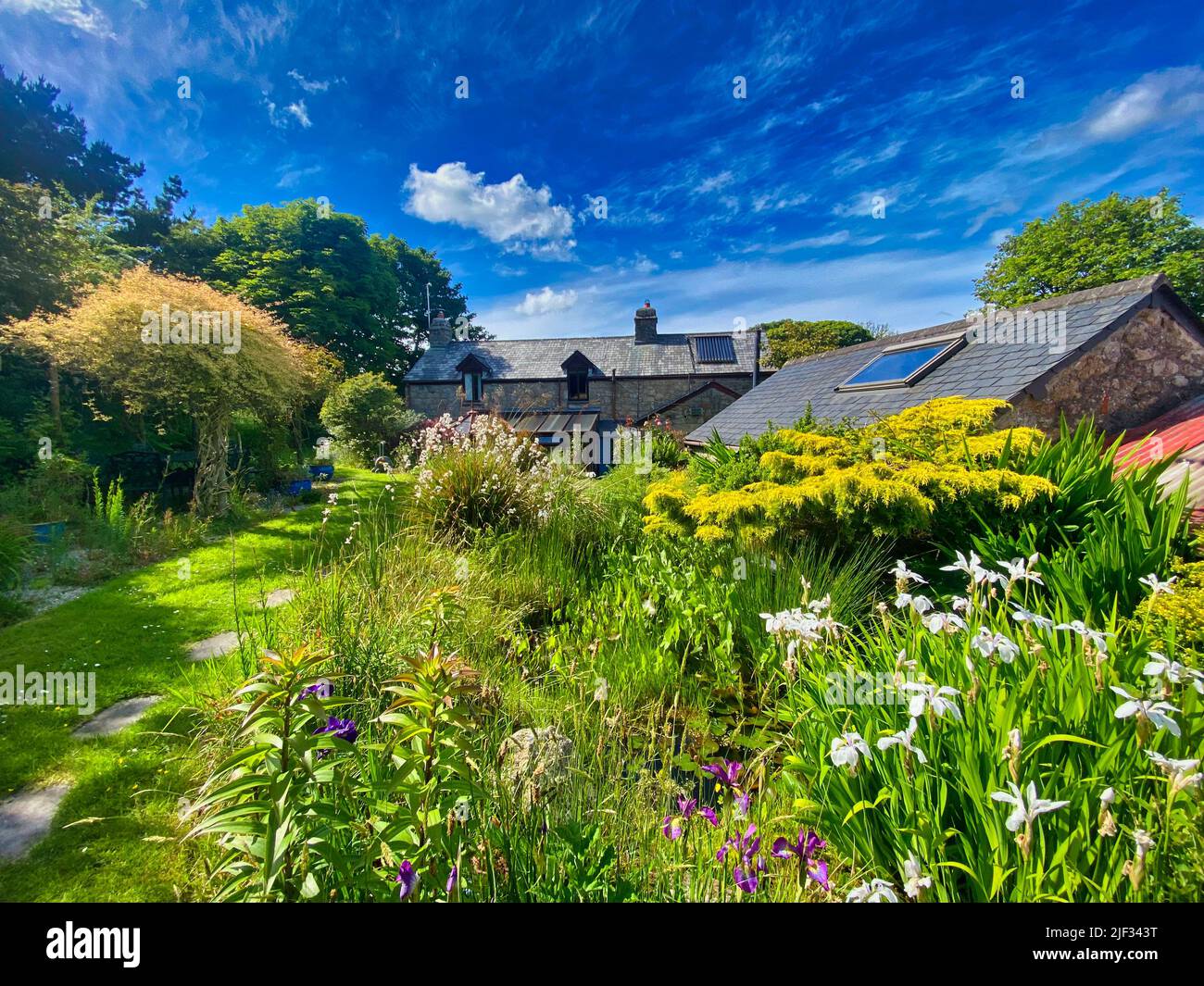 Beautiful cornish garden hi-res stock photography and images - Alamy