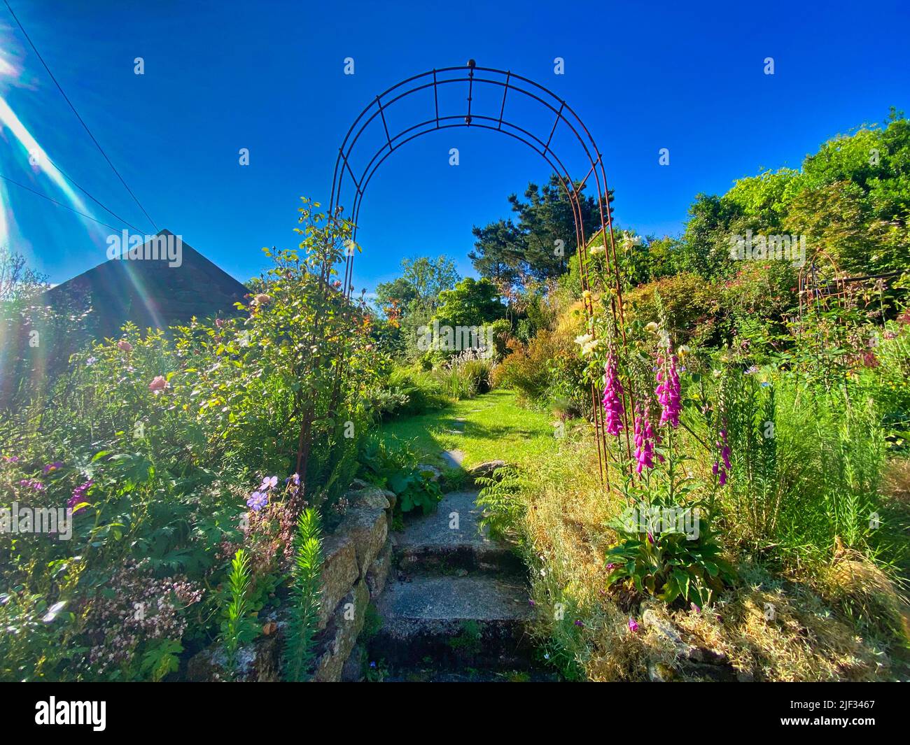 Cottage and garden in Cornwall Stock Photo - Alamy