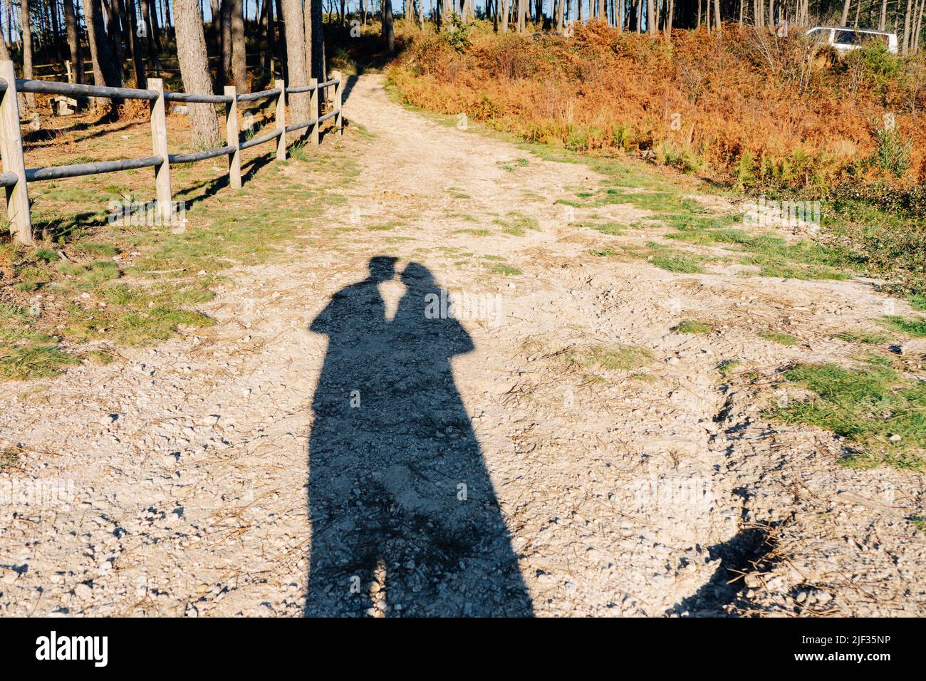 Shadow of two lovers kissing against a forest Stock Photo - Alamy