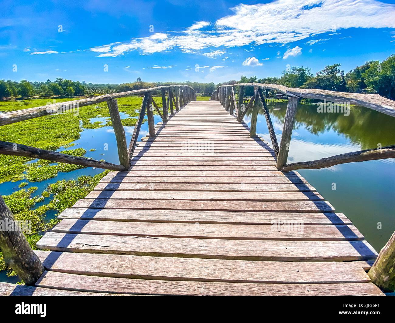 Nong Yai Pond and Wooden Bridge in Chumphon, Thailand Stock Photo - Alamy