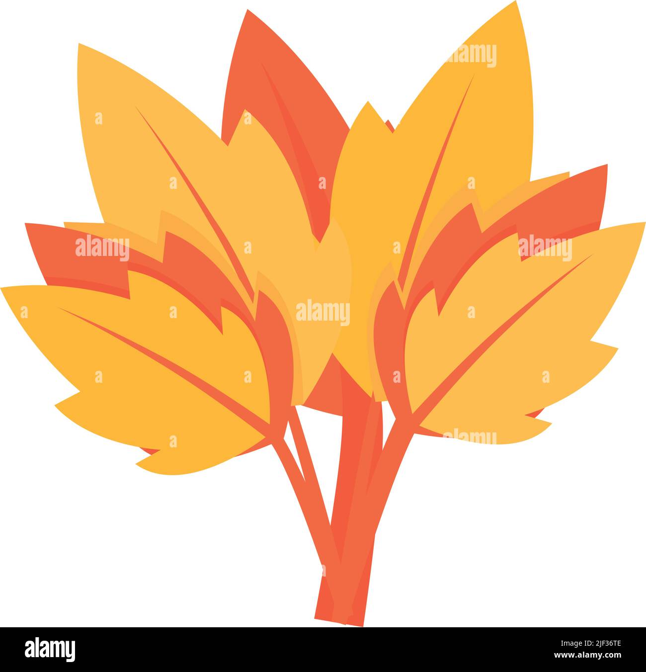 Yellow leaved tree Cut Out Stock Images & Pictures - Alamy