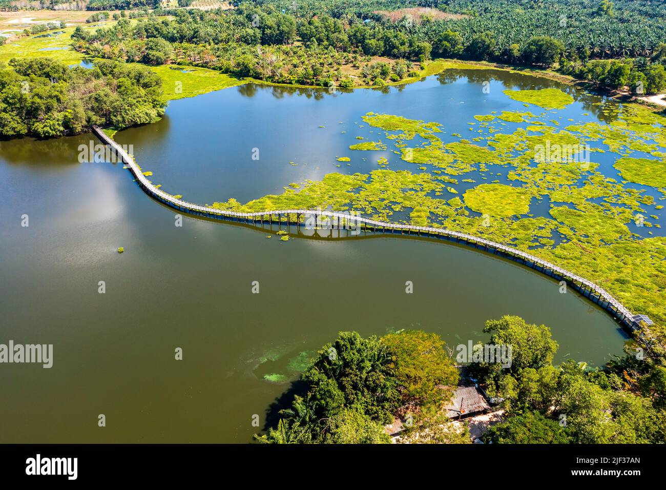 Nong Yai Pond and Wooden Bridge in Chumphon, Thailand Stock Photo - Alamy