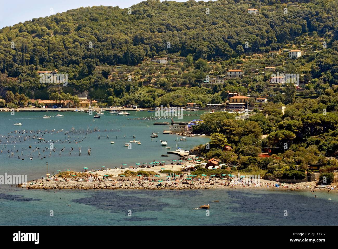 Palmaria liguria hi-res stock photography and images - Alamy