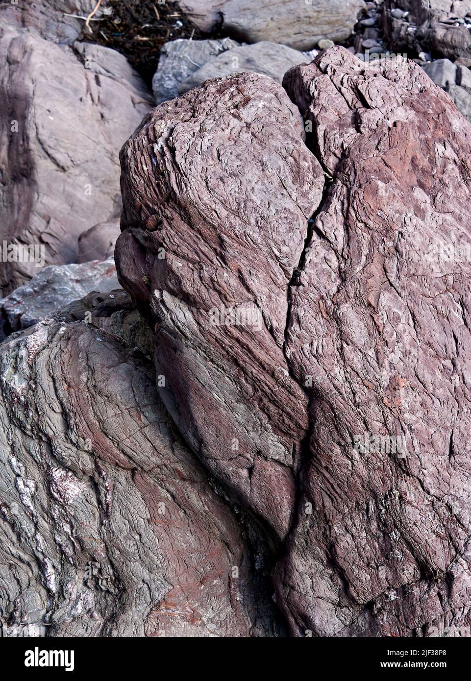 Lower devonian wembury siltstones hi-res stock photography and images ...