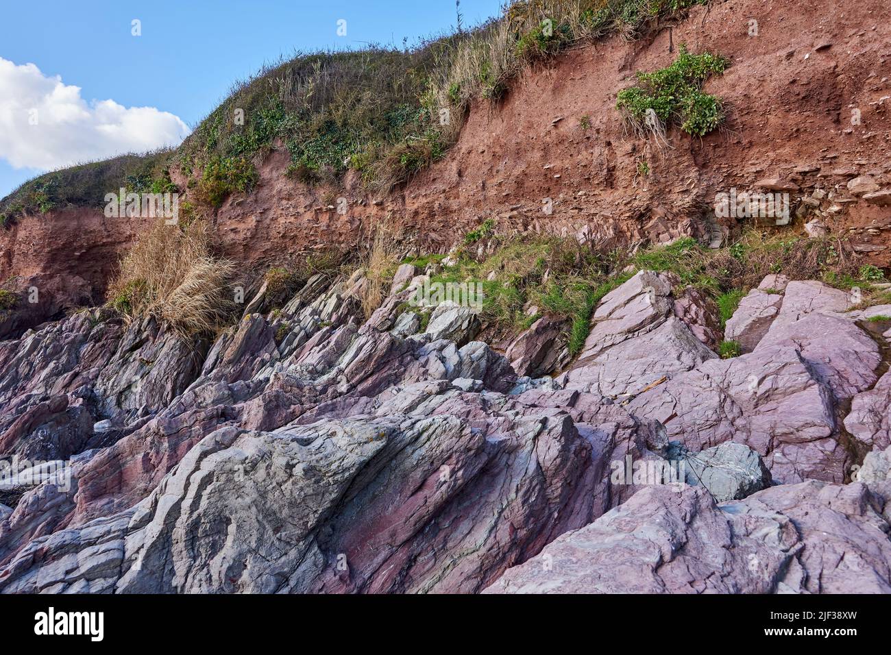 Lower Devonian rocks overlain by periglacial head at Wembury beach in ...
