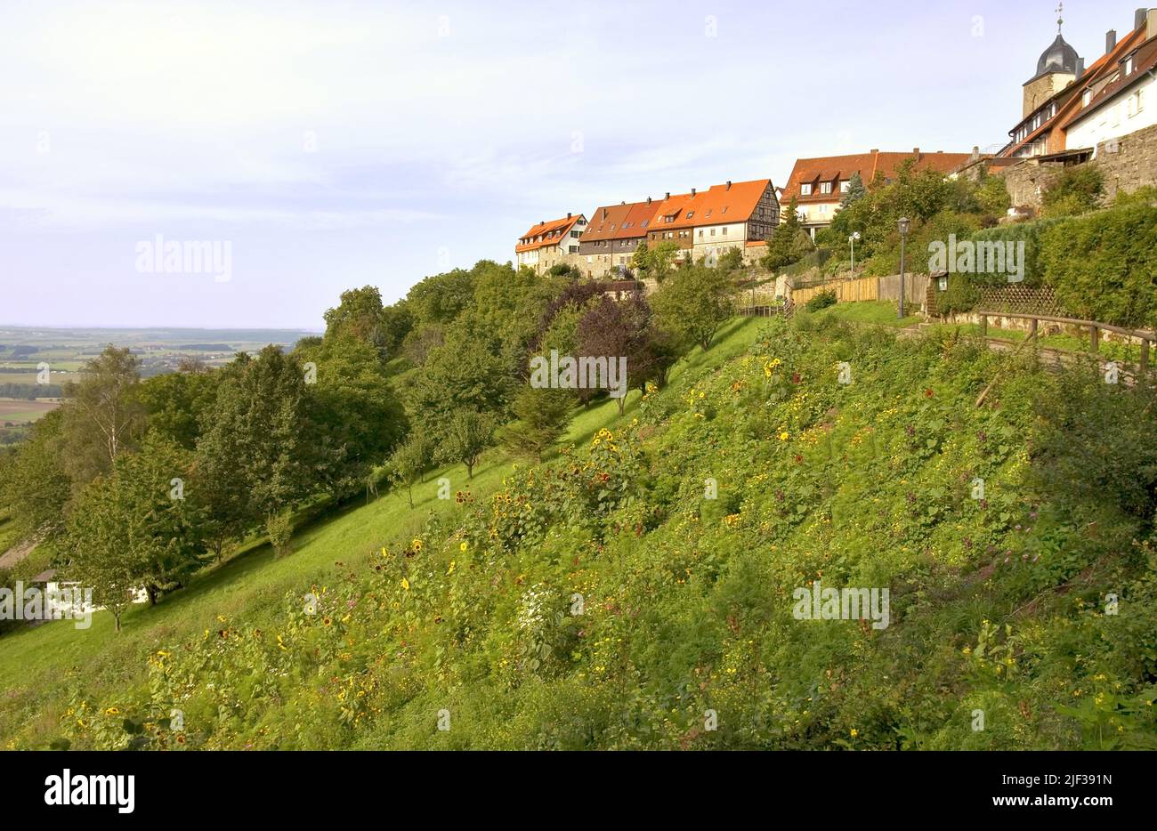 Waldenburg hi-res stock photography and images - Alamy