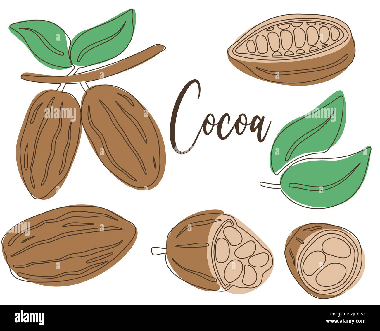 Cocoa beans and leaves hand drawn vector set Stock Vector Image & Art ...