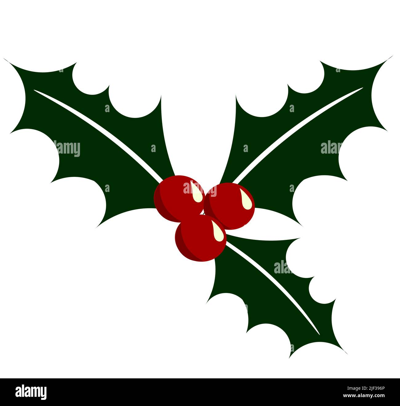 Holly berry vector illustration. Symbol of Christmas Stock Vector Image ...