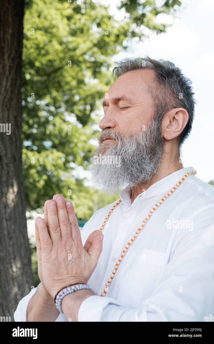 bearded master guru meditating with closed eyes and praying hands ...