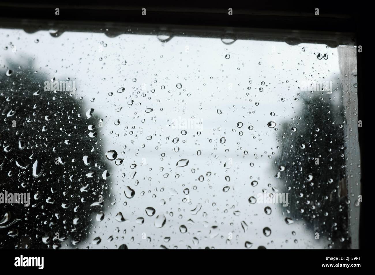 Selective focus of rain water droplets on house glass window. Rainy season background Stock ...