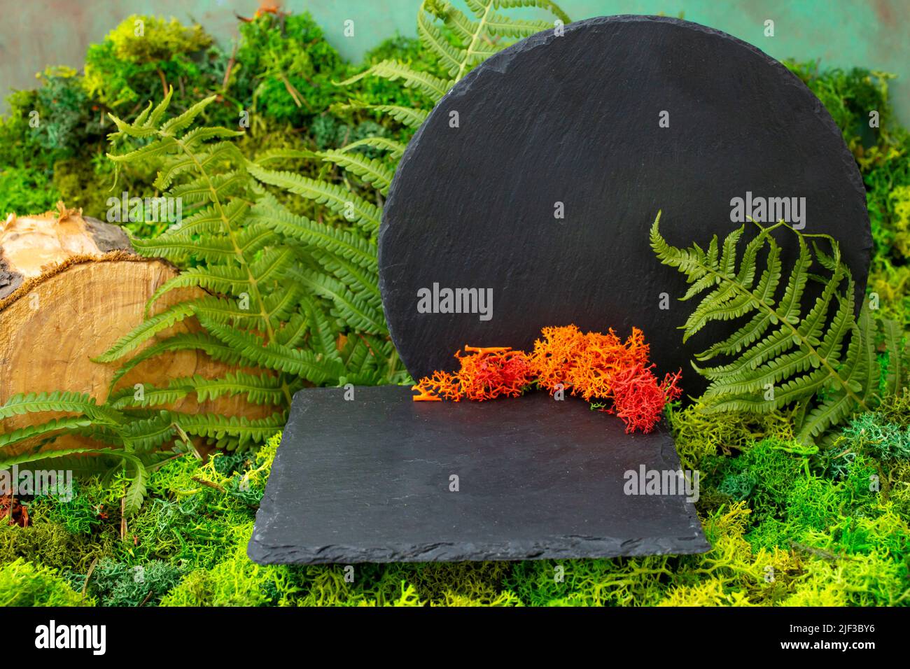 Staged display for product photography, with black stone slabs, tree ...