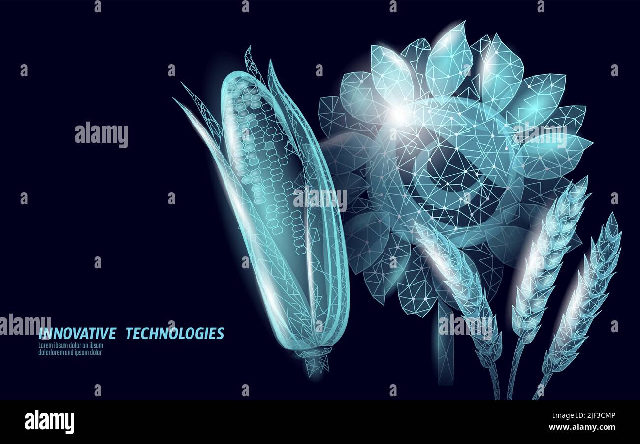 3D wheat ears corn sunflower grain. World food Day hunger awareness ...