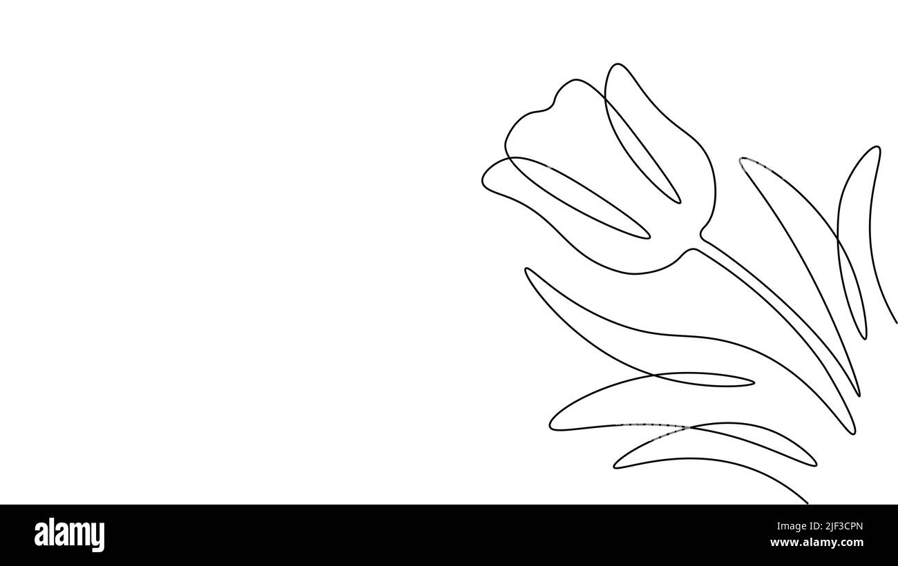 One line tulip flower element. Black and white monochrome continuous ...