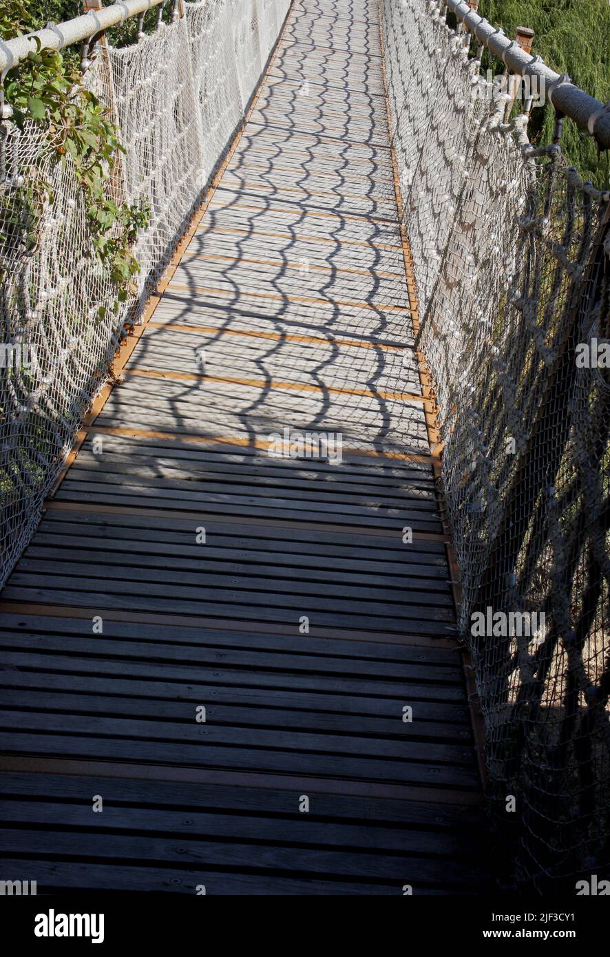 Rope suspension bridge on forest Stock Photo - Alamy