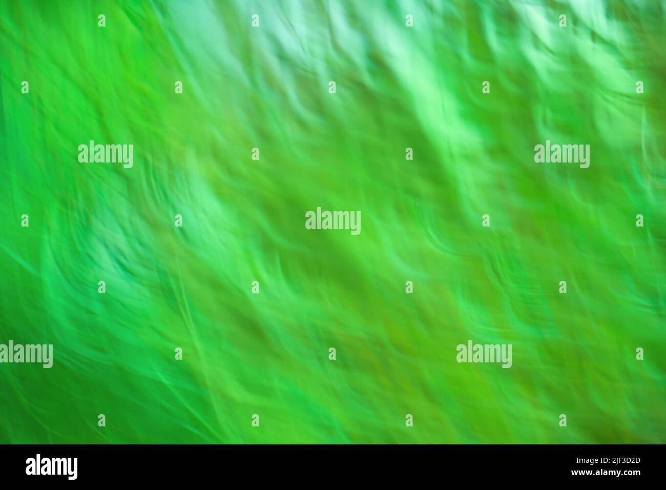 Green art blurred bokeh sparks flying background with motion effect ...