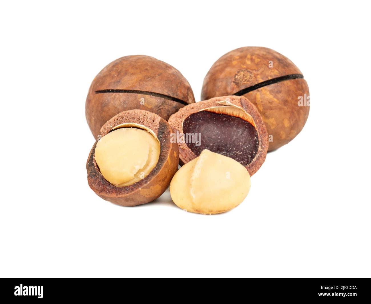 Delicious macadamia nuts with kernels on a white background Stock Photo ...