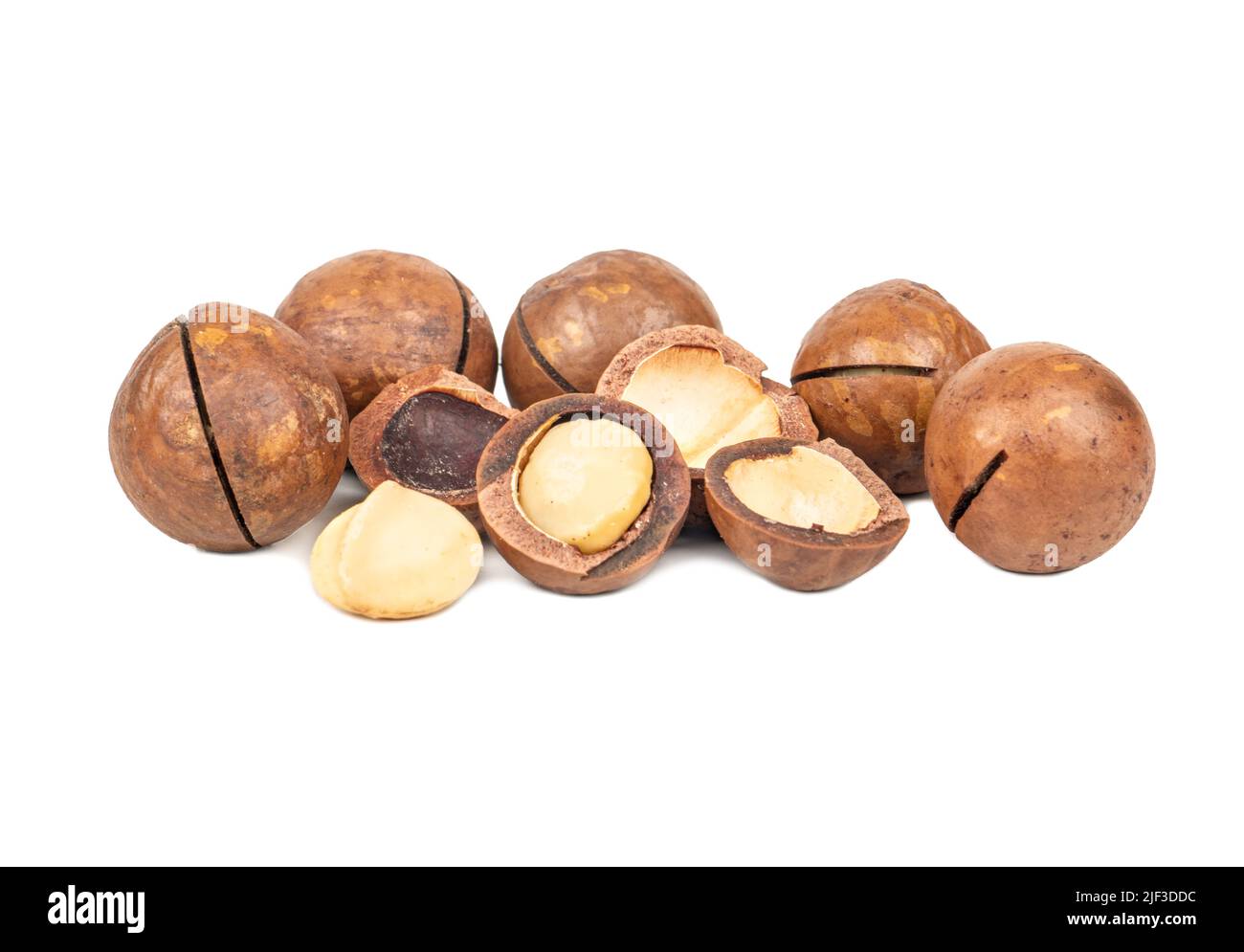 Delicious macadamia nuts with kernels on a white background Stock Photo ...