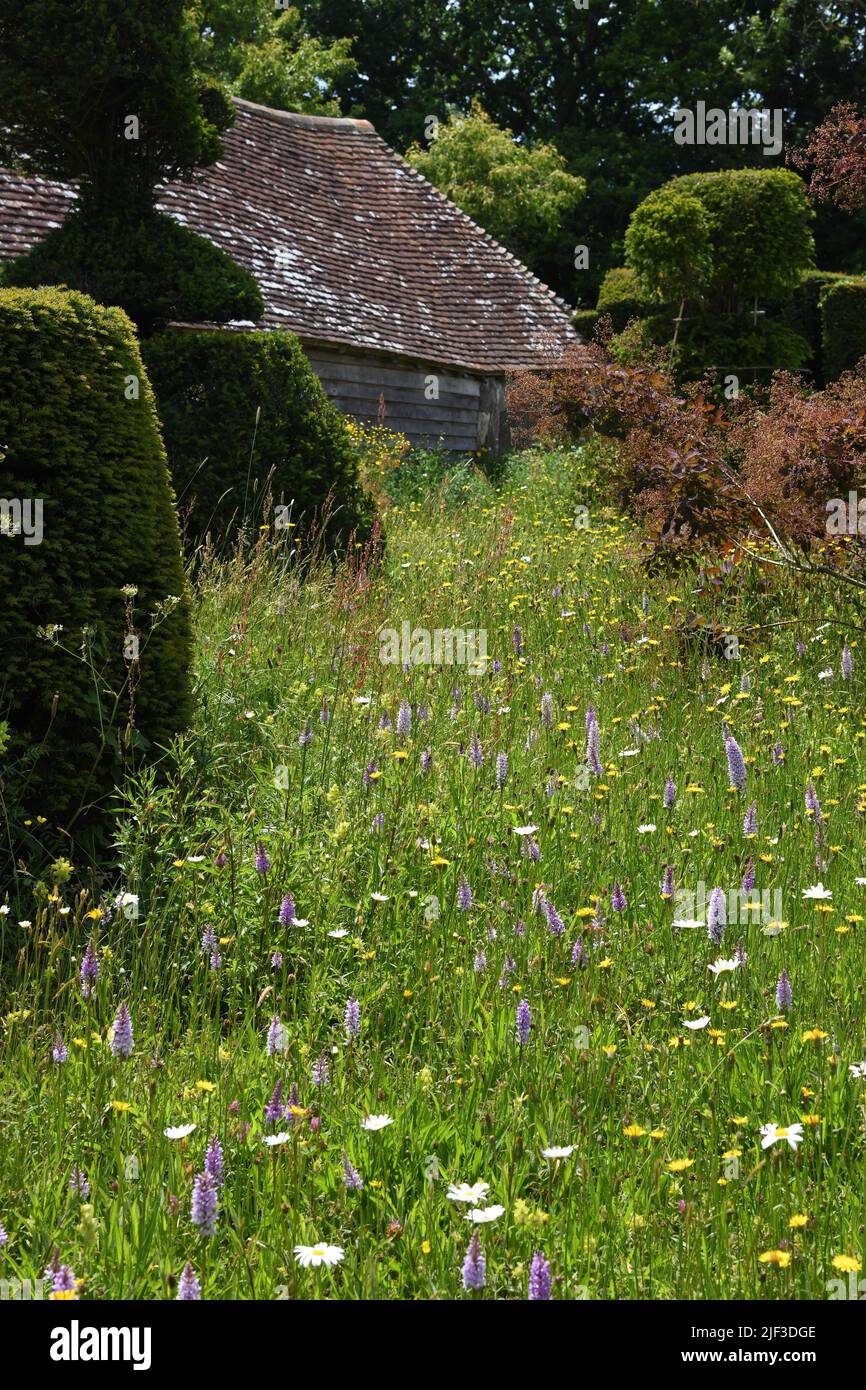 Meadow around a barn hi-res stock photography and images - Alamy
