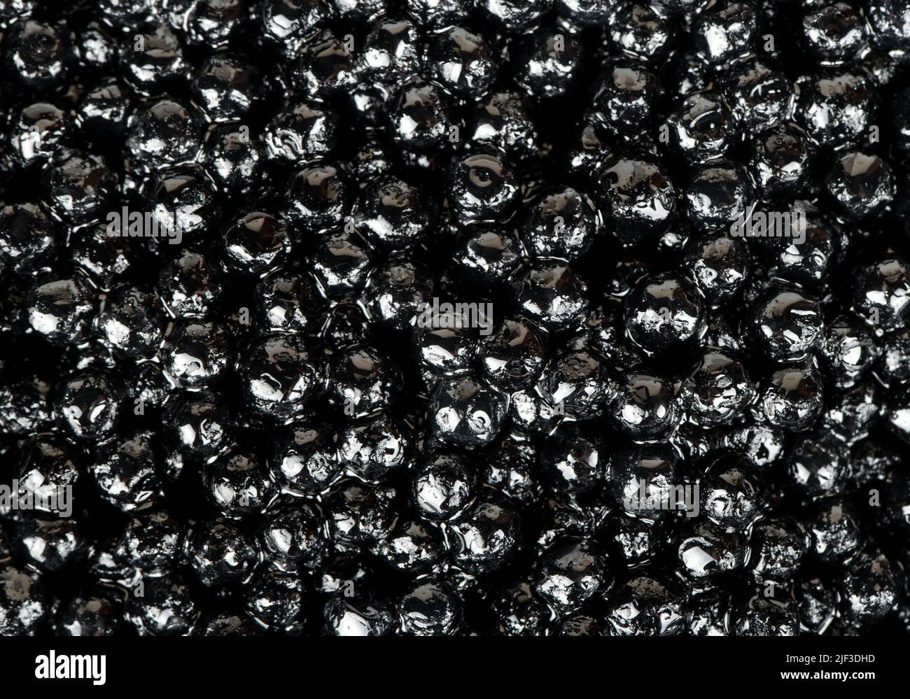 Rare black roe hi-res stock photography and images - Alamy