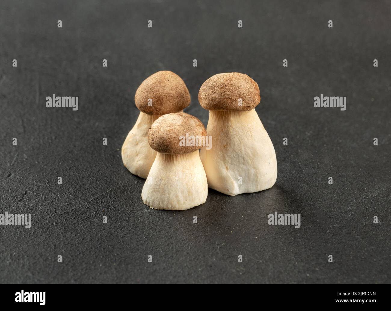 Eringi hi-res stock photography and images - Alamy