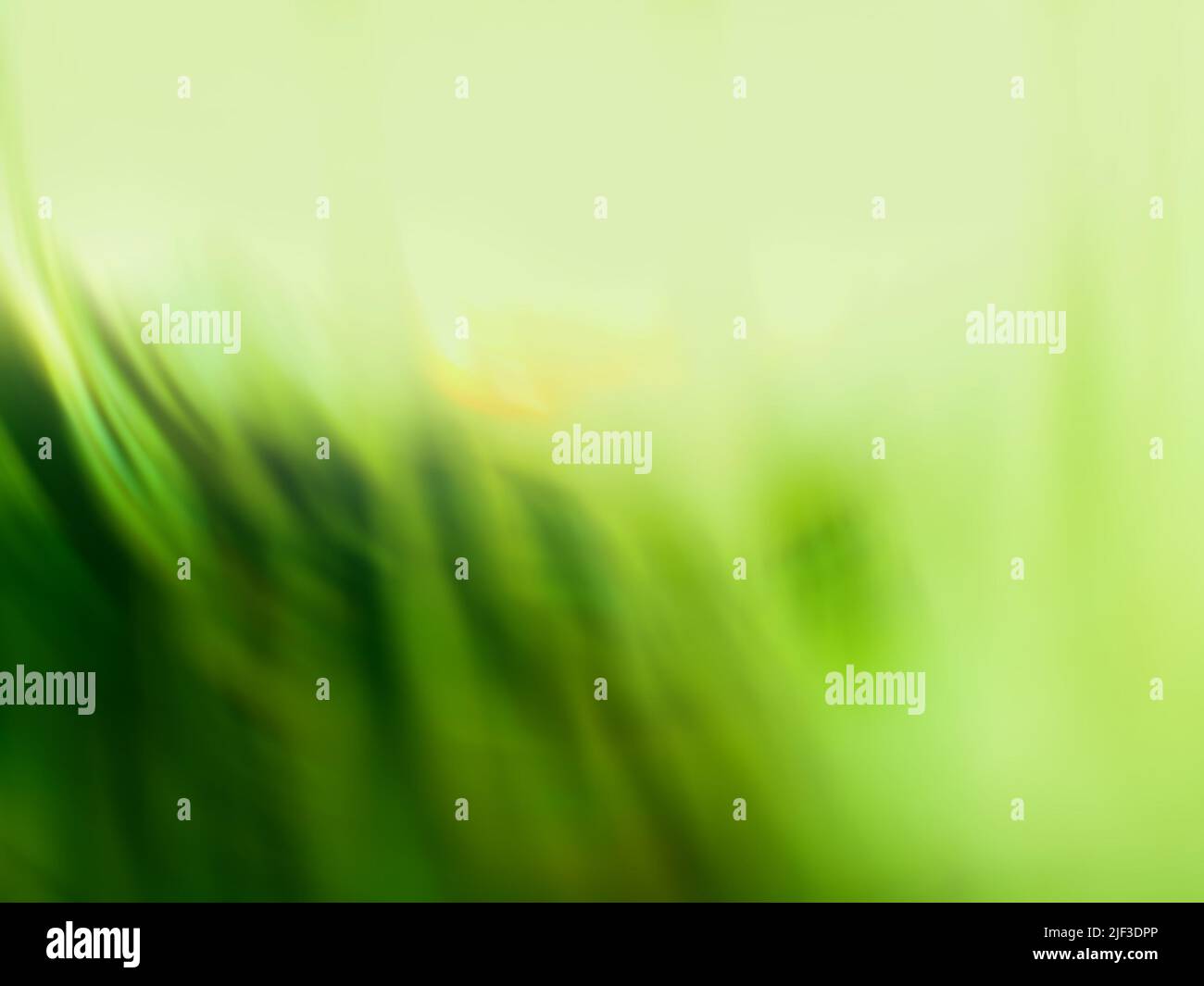 Defocus spring green tree garden or park in summer background. Defocus ...