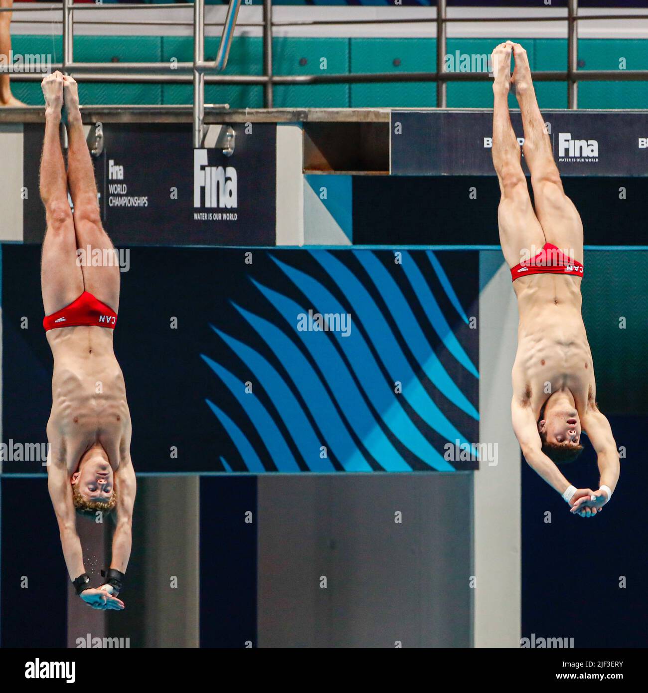 Rylan wiens hi-res stock photography and images - Alamy