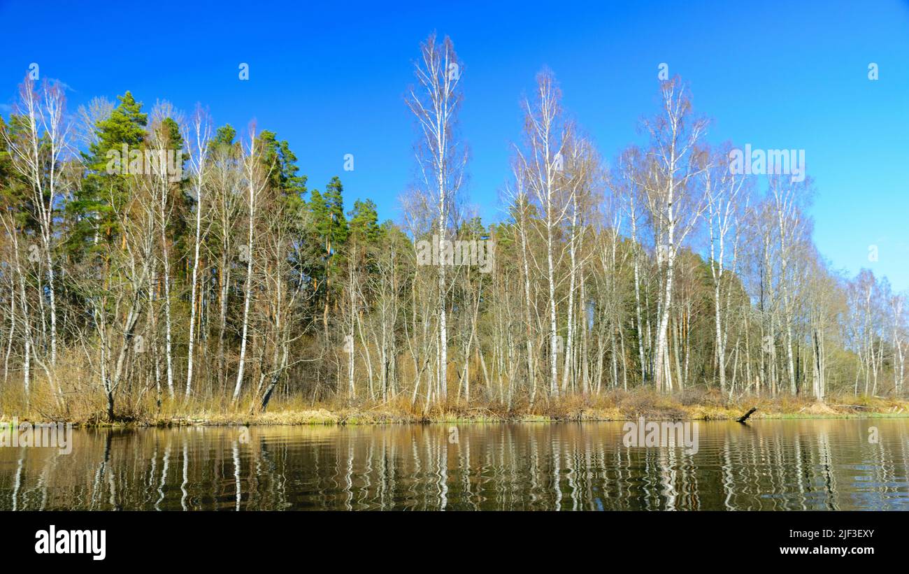 colorful spring landscape with reflections of lakes, clouds and trees ...