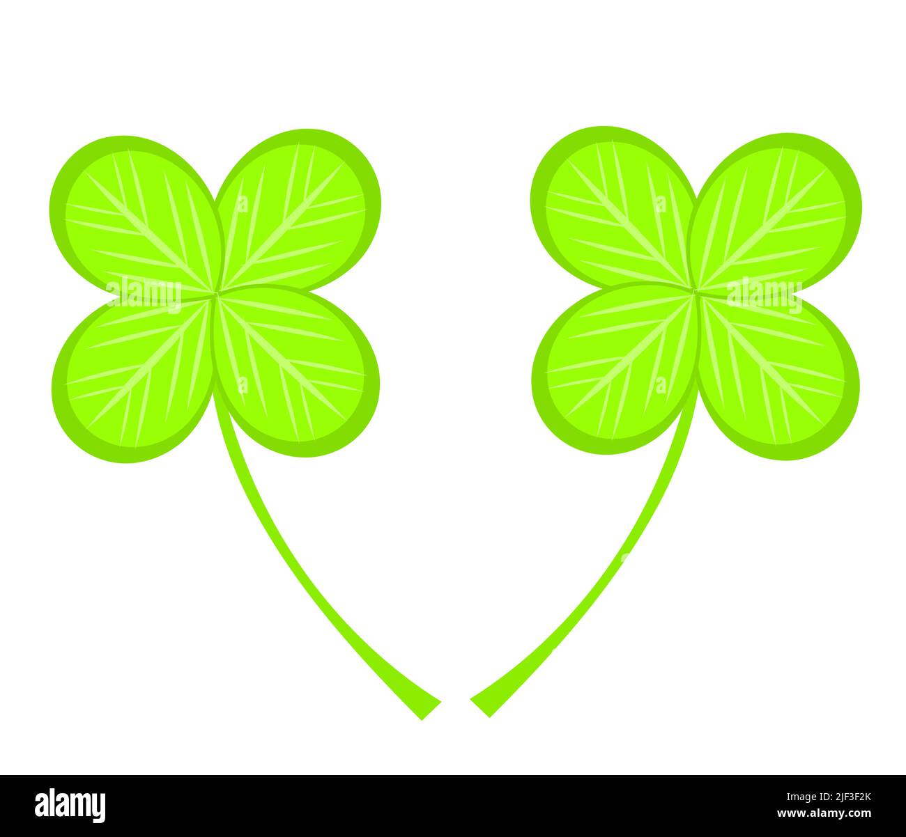 Two four-leaf clovers vector illustration Stock Vector Image & Art - Alamy