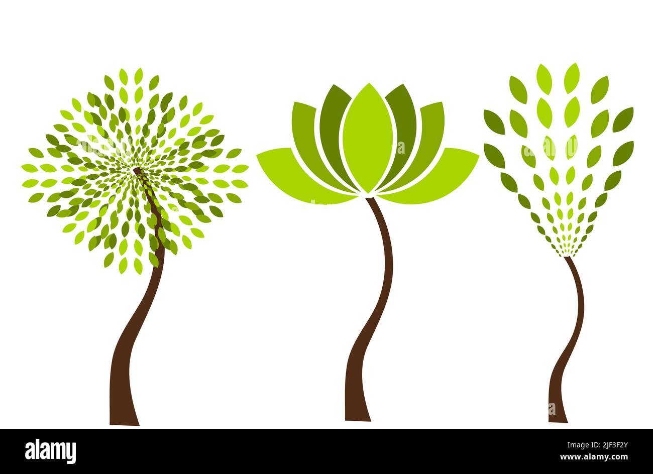 Three original vector trees Stock Vector Image & Art - Alamy