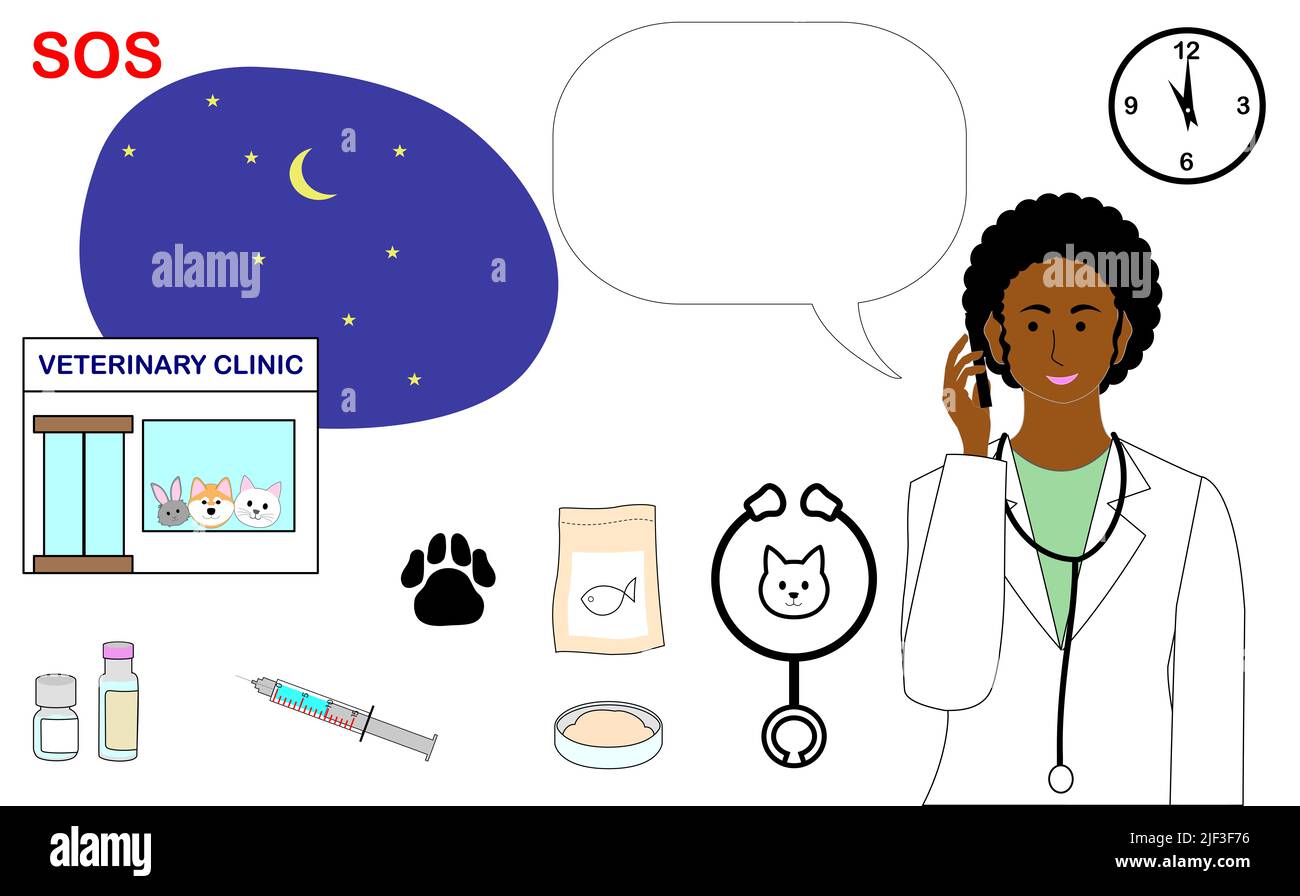 A black female vet giving a piece of advice: veterinary clinic with a ...